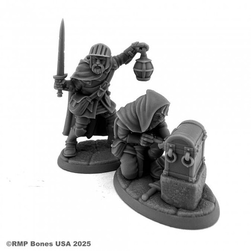 TEAMWORK (Fighter/Rogue) Reaper Miniatures Bones USA Dungeon Dwellers ...