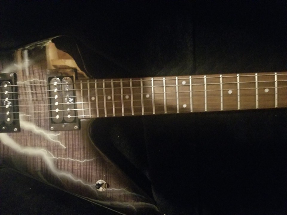 Dimebag Darell Washburn 333 Guitar washburn Dime Bolt 2005 | eBay