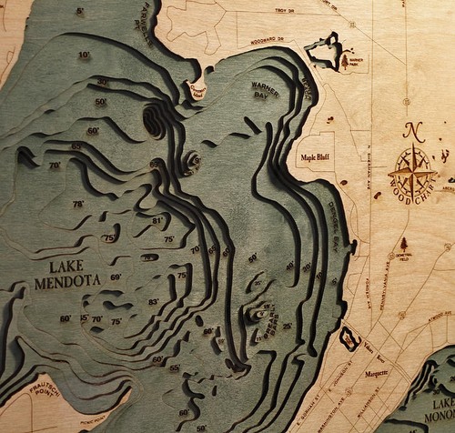 Lake Mendota & Monona, WI Wood Carved Topographic Depth Chart / Map | eBay