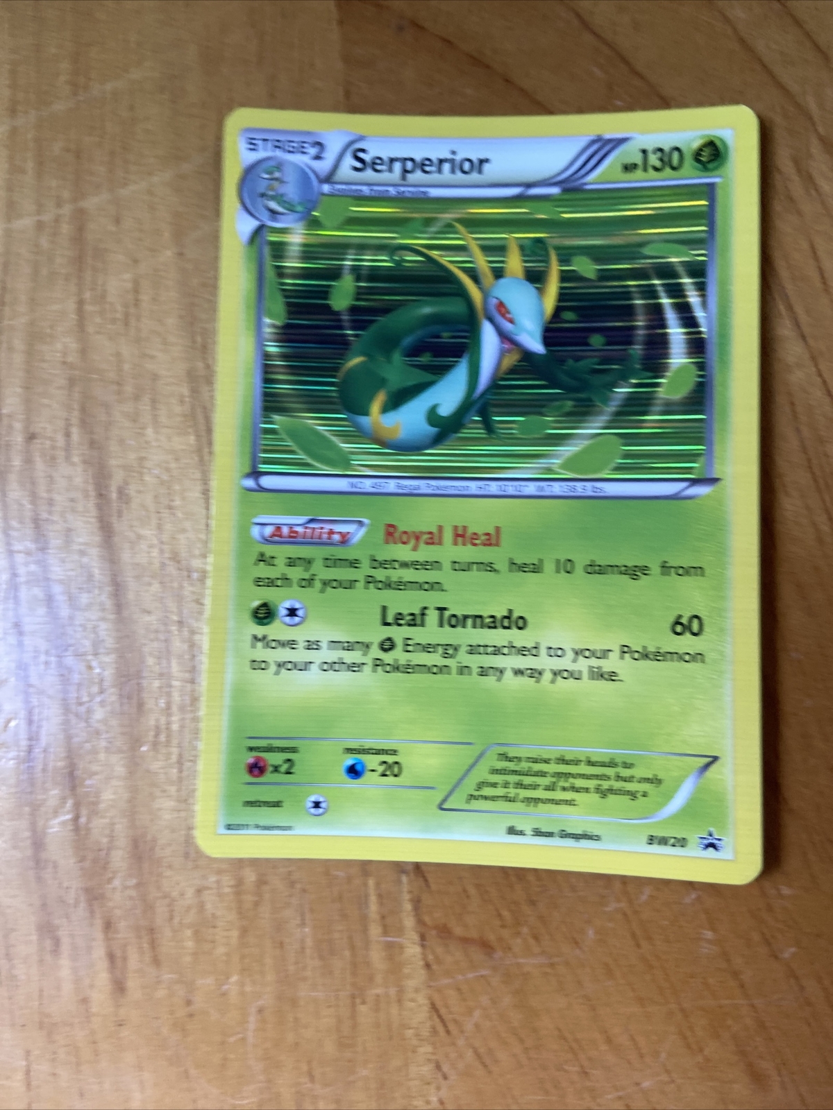 Serperior Holo Blackstar Promo Bw20 | eBay