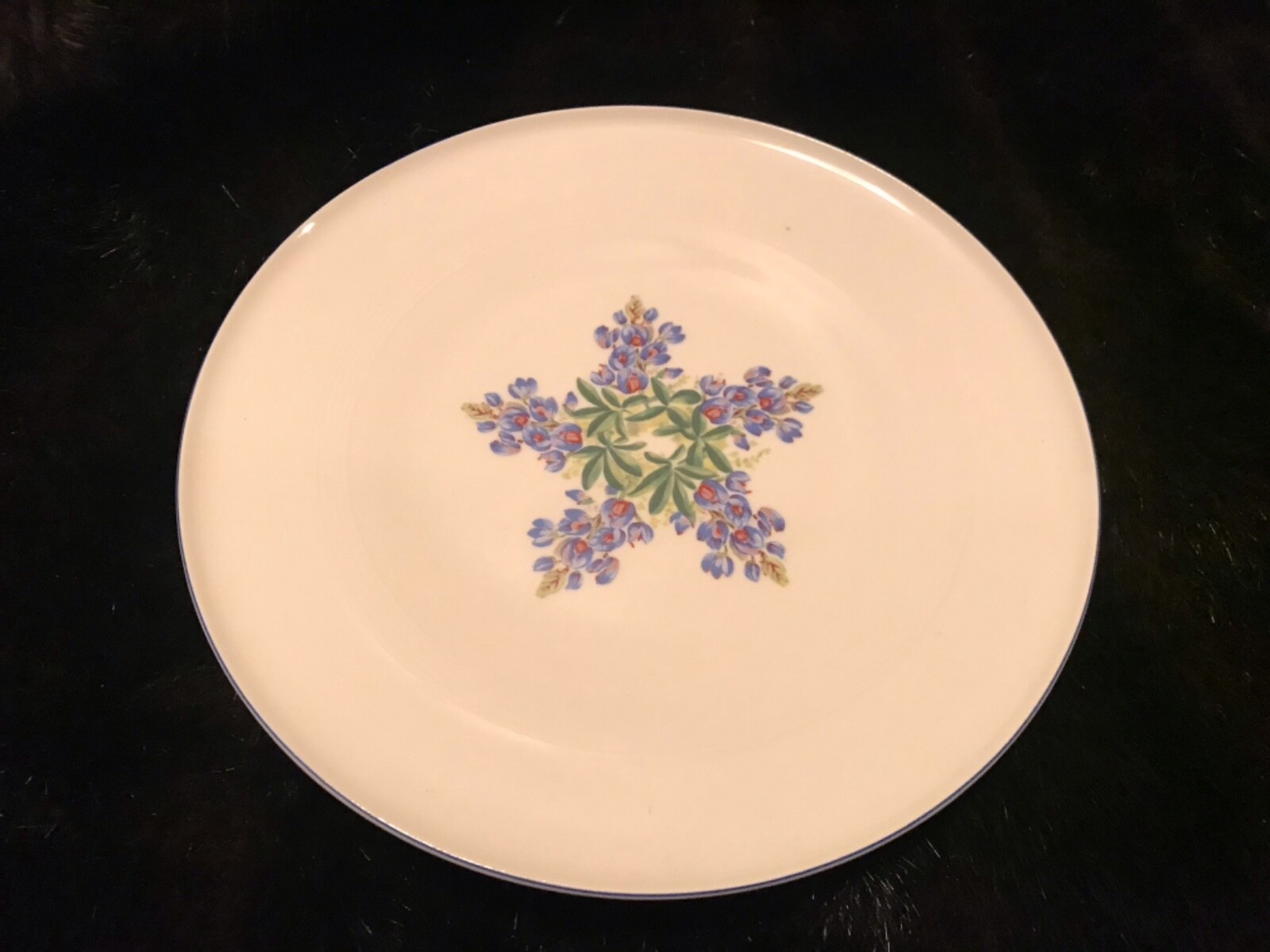 Cavitt Shaw Texas Centennial Salad plates | eBay