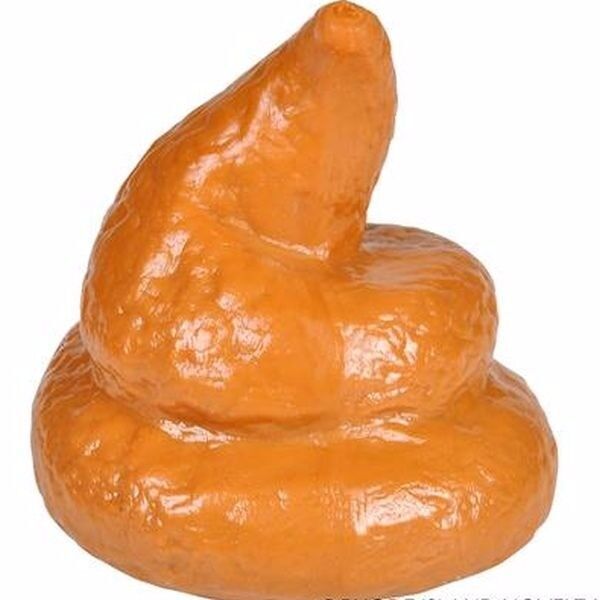 2 SQUEEZE POO TURD CRAP POOP - STRETCHABLE SQUEEZE STRESS RELIEF PARTY ...