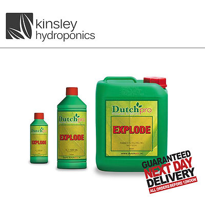 Dutch Pro Explode 250ml Bloom Boost Accelerator PK Hydroponic Nutrient ...