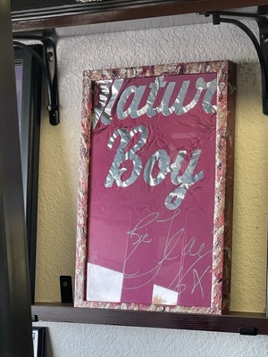 WWE Hall of Famer Ric Flair Autograph Pink Feather Robe in frame w ...