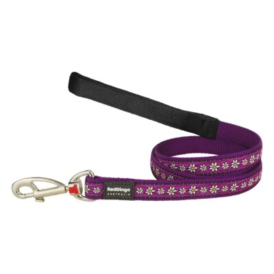 Red Dingo Lead Daisy Chain Purple size 20mm length 3.5-6ft leash | eBay