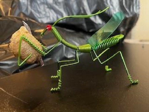 Praying Mantis Aluminum Wire Art With a Real Non-Hachtble Egg Home ...