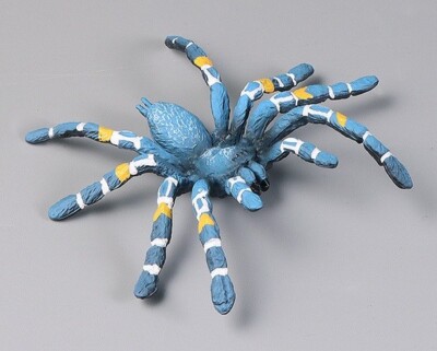 Brazilian Blue Tarantula Animal Toy PVC Action Figure Doll Kids Toys ...