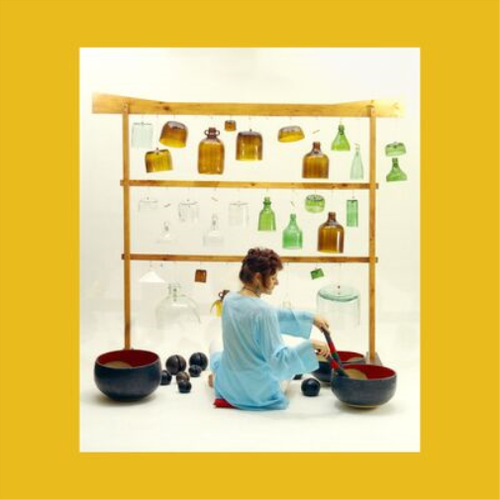 Ros Bandt & LIME Soft and Fragile (Vinyl) 12" Album 4251804128506 | eBay