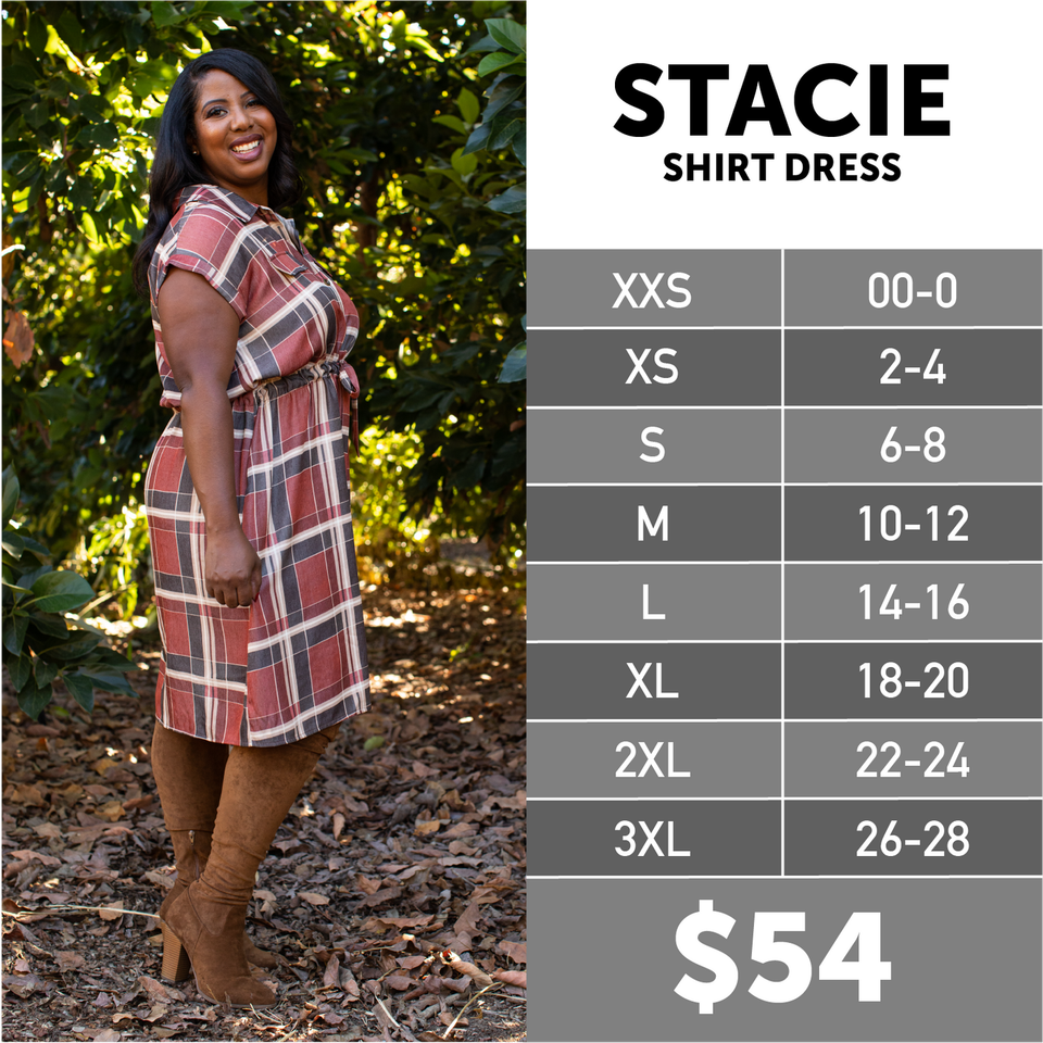 NEW - LuLaRoe XL Chambray Stacie Shirt Dress - Metallic Brown - NWT | eBay