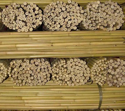 Extra Large Thick Bamboo Canes 2ft-6ft Plants Supporting Pole Sticks ...