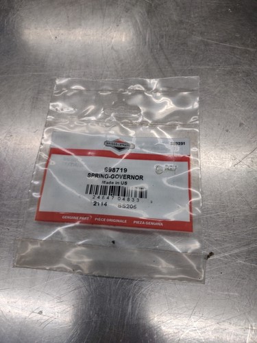 Briggs & Stratton 698719 Governor Spring Bin 5 24847048339 | eBay