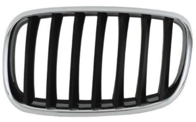 New Driver Side Grille For 2007-2013 BMW X5 2008-2012 X6 51137157687 ...