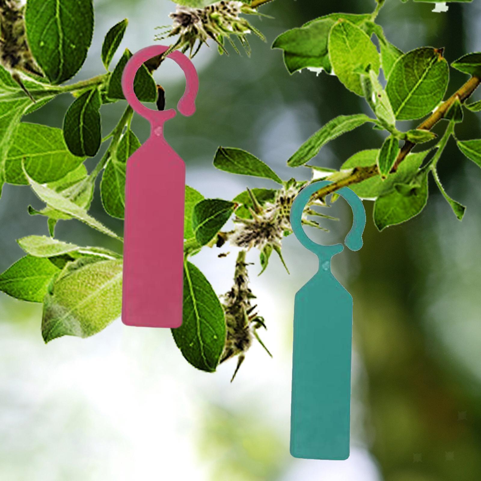 100x Hanging Plants Tags Hanging Plant Markers for Nursery Gardening ...