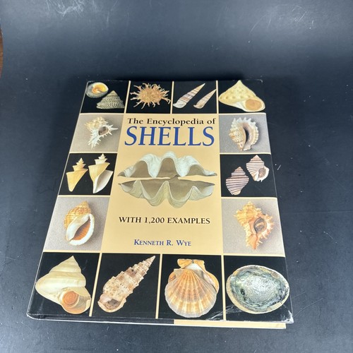 THE ENCYCLOPEDIA OF SHELLS By Kenneth R. Wye - Hardcover 1998 Edition ...