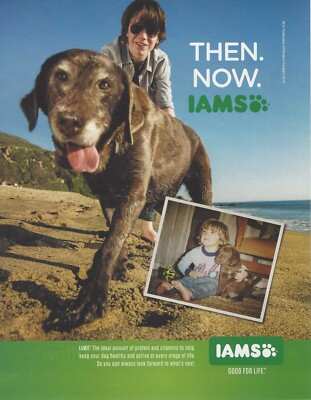 2015 IAMS Dog Food Pet Then & Now PRINT AD Advertisement | eBay