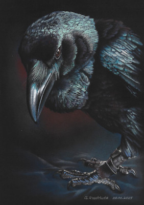 original drawing A4 2KrO artwork modern pastel realism black crow | eBay