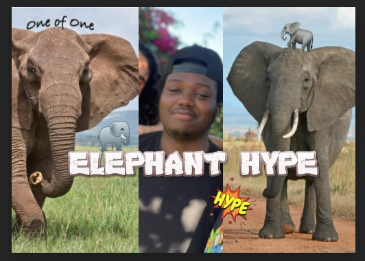 Celebrity Elephants