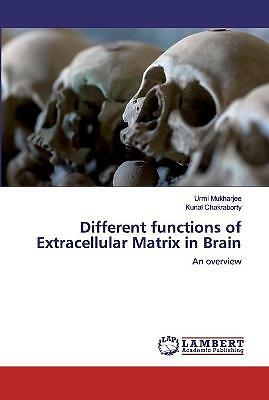 Different functions of Extracellular Matrix in Brain by Kunal ...