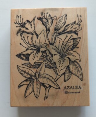 PSX K-015 Azalea Botanical Floral Flowers Large 1992 Rubber Stamp | eBay
