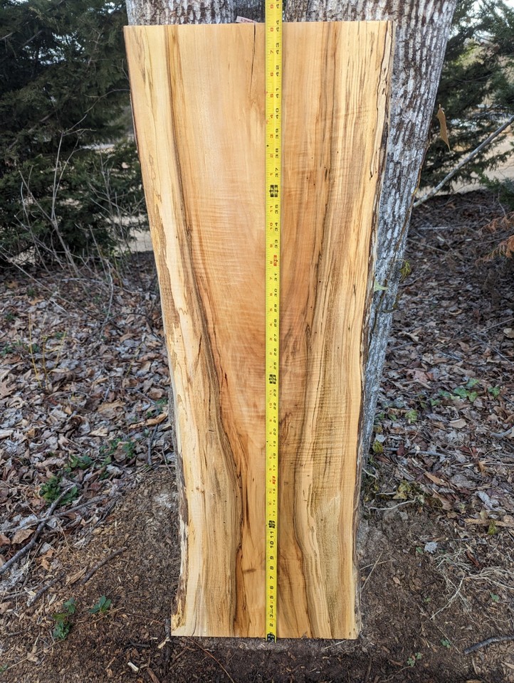Ambrosia maple slab (Live Edge) Spalted (Thick slab) wormy maple (epoxy ...
