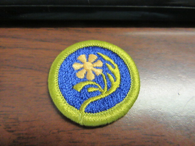 Botany Boy Scout Merit Badge Molded Plastic Back c22 | eBay