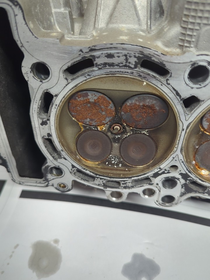 Arctic Cat Wildcat XX Complete Cylinder Head part# 3021-861 | eBay