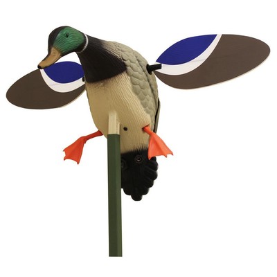 MOJO Baby Mojo Drake Decoy 816740044019 | eBay