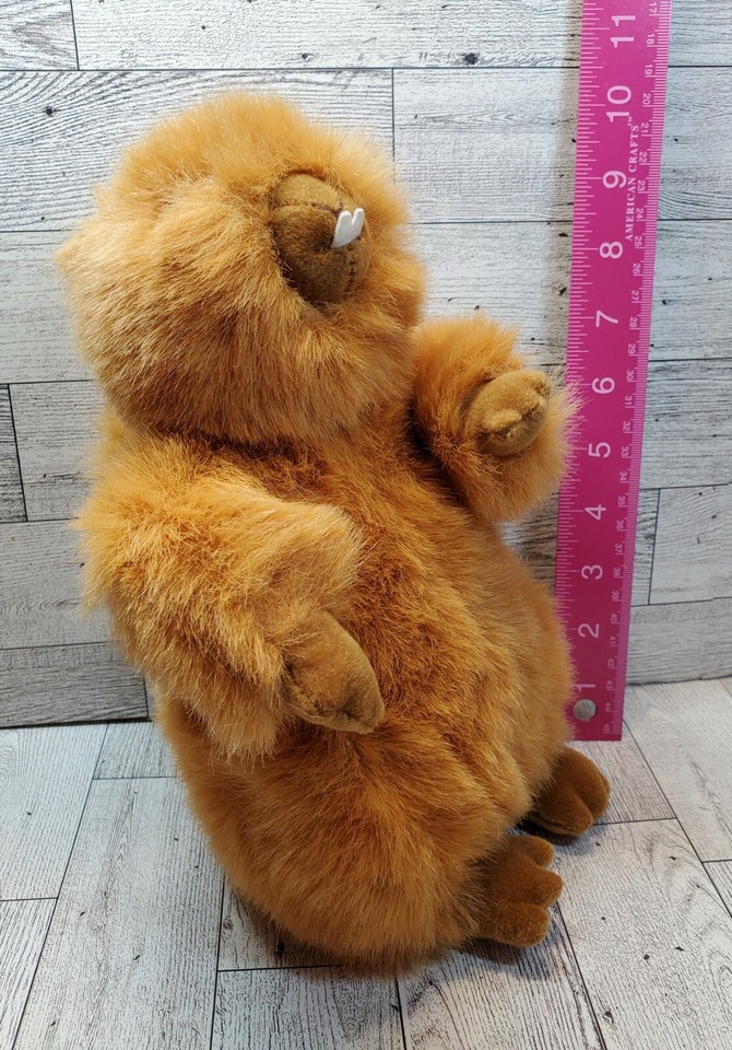 10” Gund Kohls Cares Groundhog Woodchuck Gopher Beaver Plush Stuffed ...