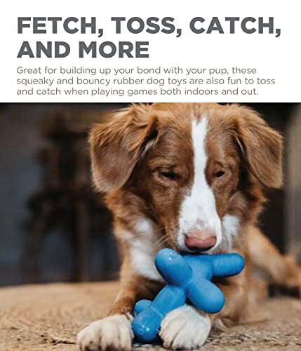 Outward Hound Latex Rubber Balloon Dog Squeaky Dog Toy, Large | eBay