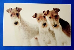 Chars Cards and Such | eBay Stores