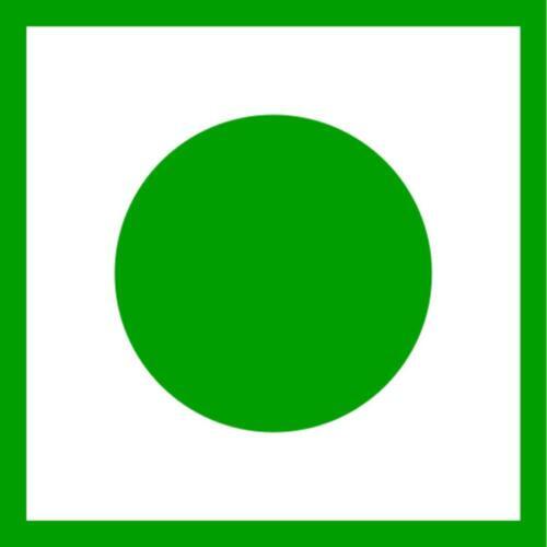 Amba Haldi / Curcuma Aromatica / Jangli Haldi / Ama Haldi | eBay