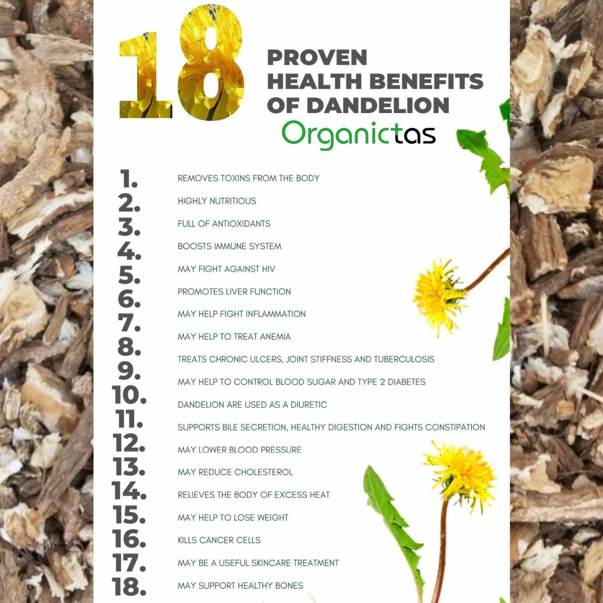 Dandelion Root Tea Benefits The Many Benefits Of Dandelion Root Tea