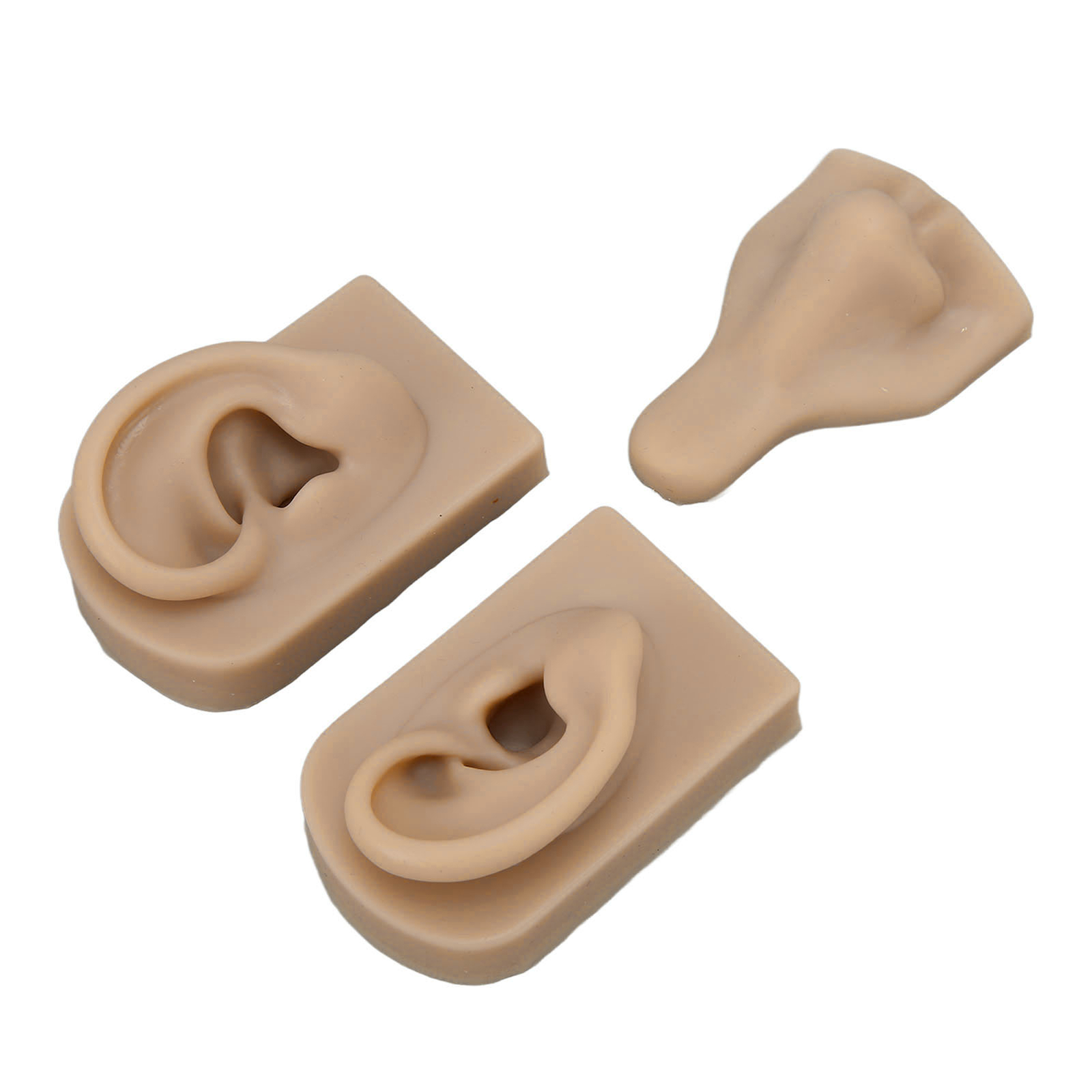 Piercing Practice Model Simulation Nose Ears Model For Teaching(Dark ...