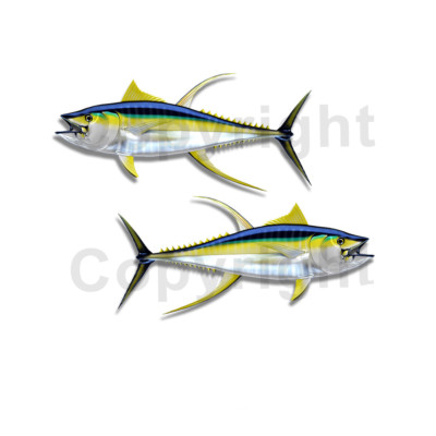 Yellowfin Tuna Sticker Decal Fishing Boat Car Truck Camper Trailer F113 ...