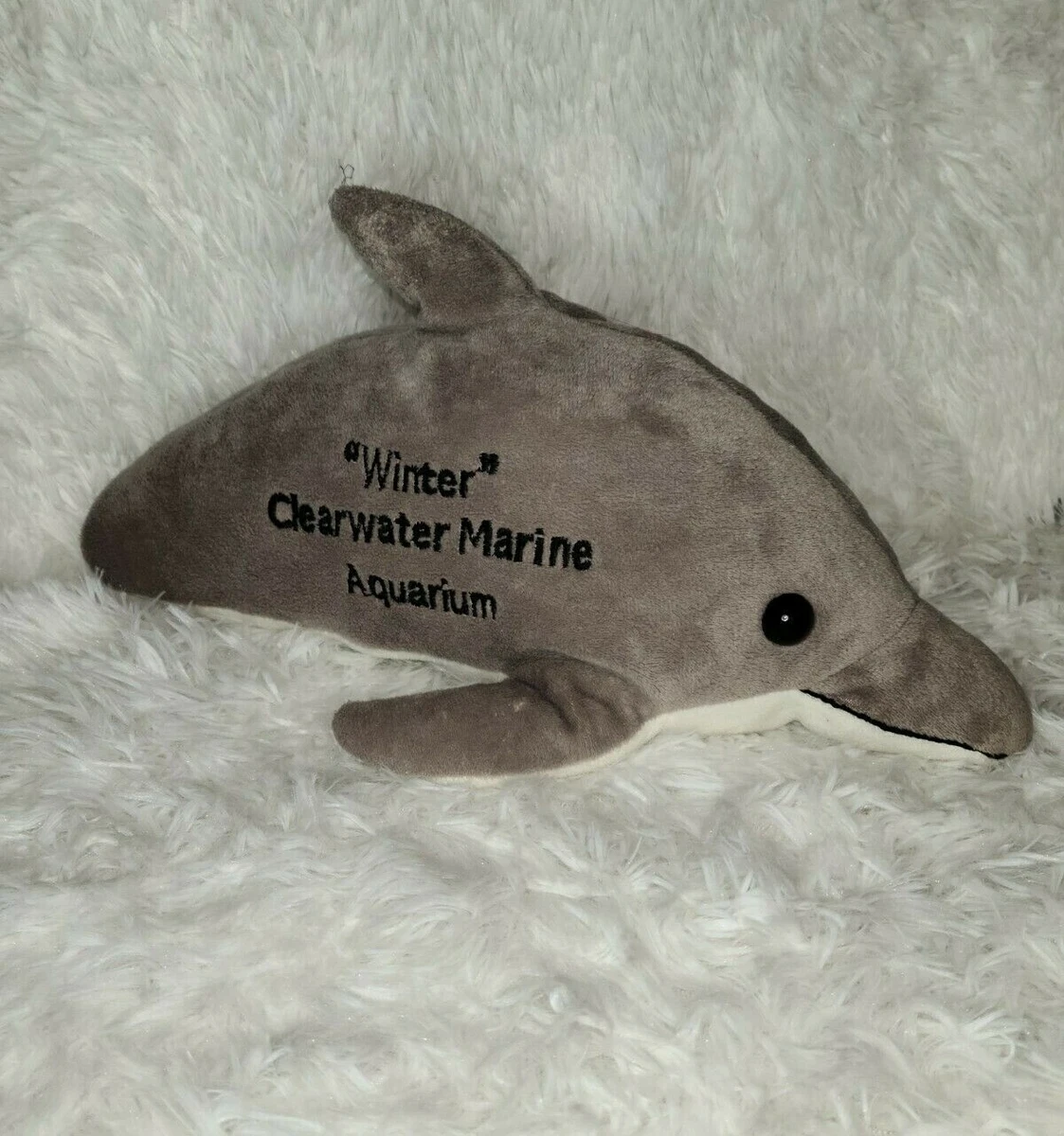 Winter The Dolphin As A Baby