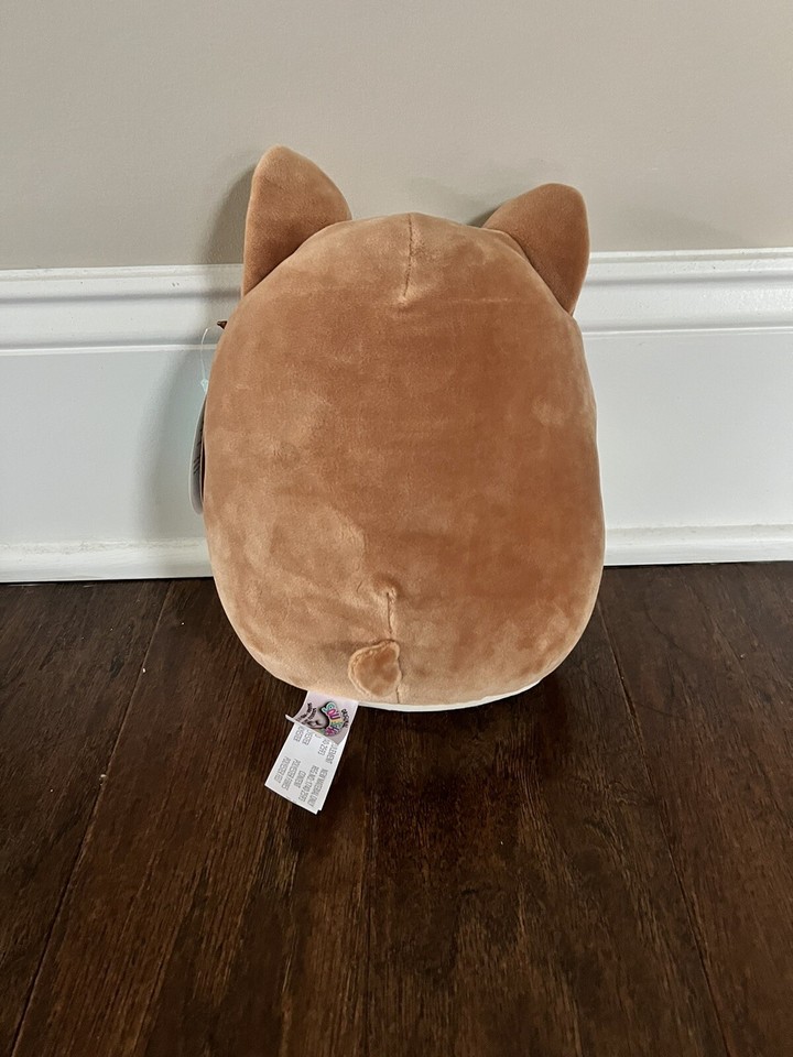 8” Regina the Corgi with Sushi Squishmallow | eBay