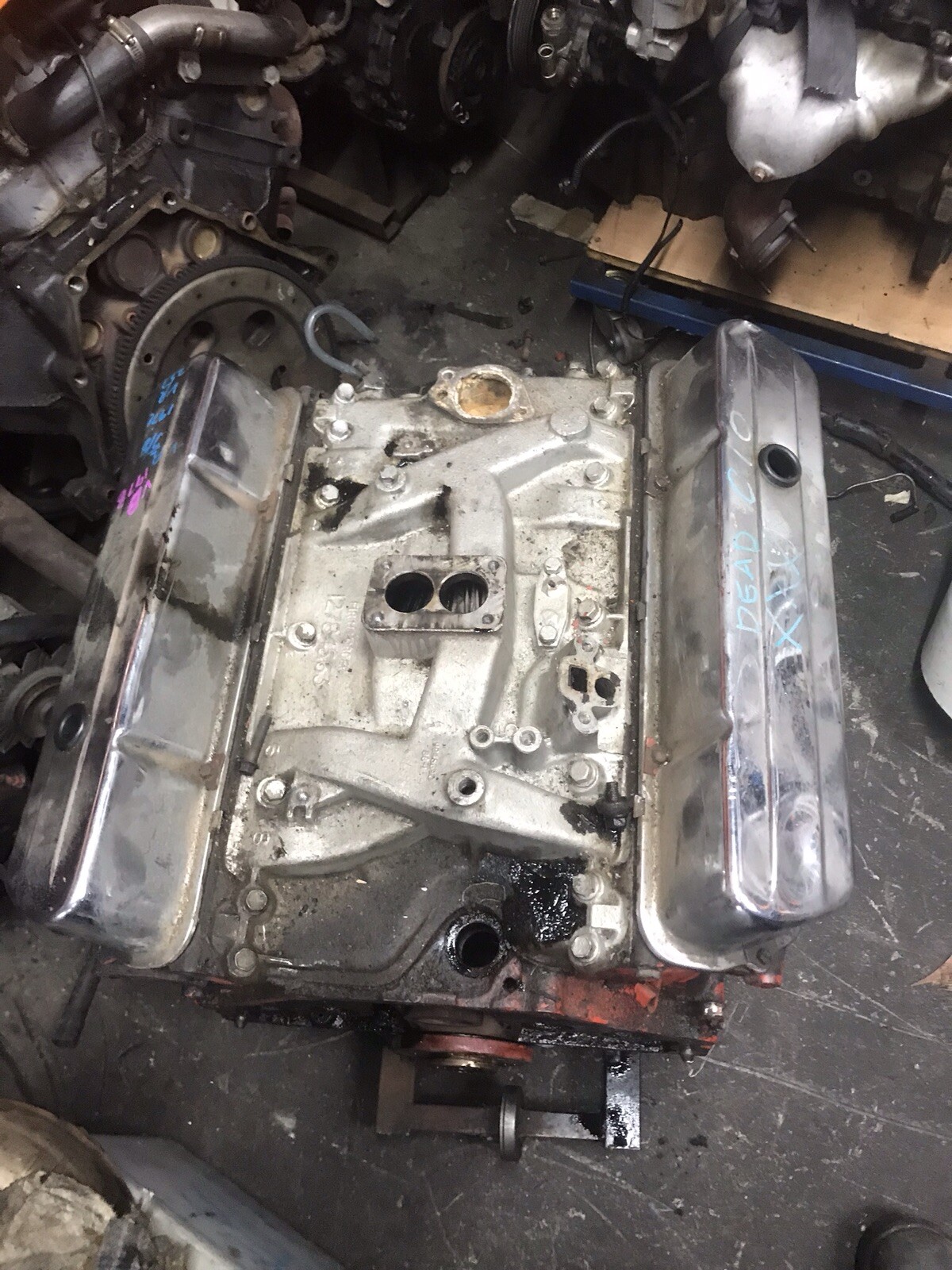 253 4.2 V8 MOTOR ENGINE VR PREFIX COMMODORE VB SLE MOTOR OR HOLDEN 1978 ...