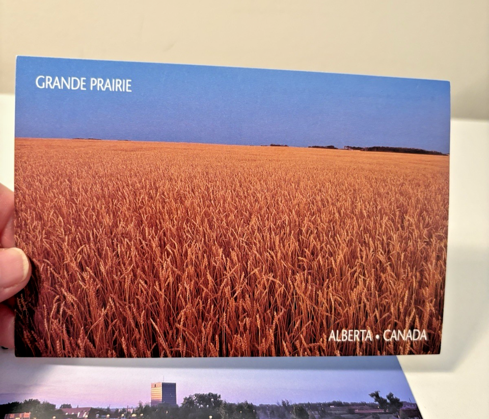 Postcards Field Wheat Muskoseepi Park Grande Prairie Alberta Canada X2 ...