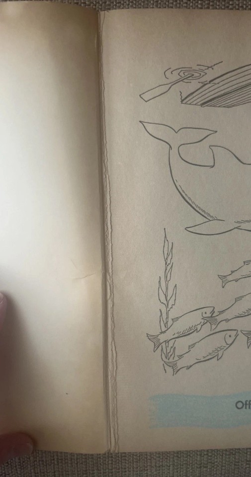 WHITMAN FLIPPER COLORING ACTIVITY BOOK 1968 | eBay