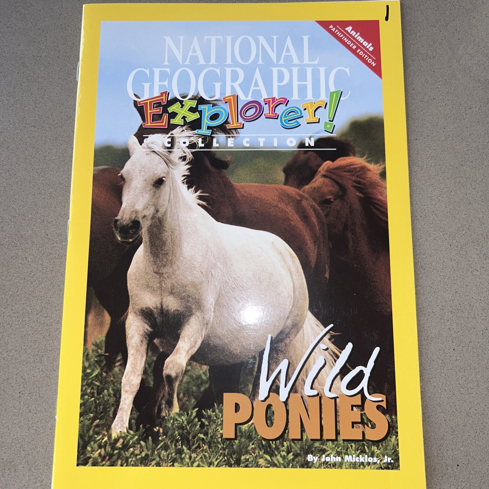 Explorer Books (Pathfinder Science: Animals): Wild Ponies (2006, Trade ...