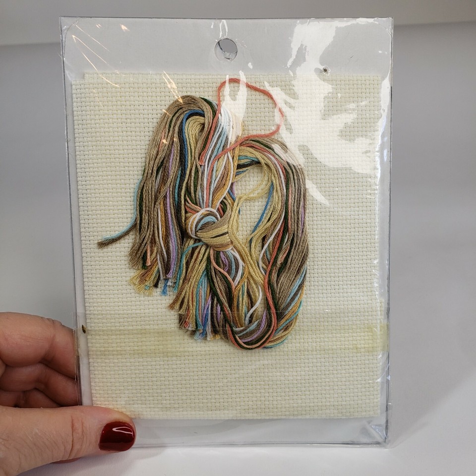 Vintage 1999 Jiffy Counted Cross Stitch Kit 16700 He Spoke Footprints ...