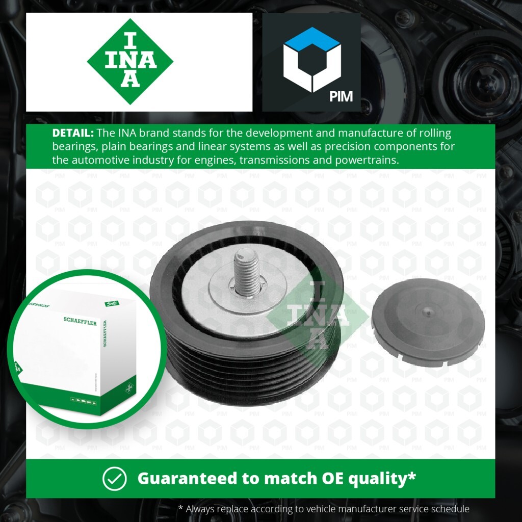 INA 532030510 Guide Pulley for sale online | eBay