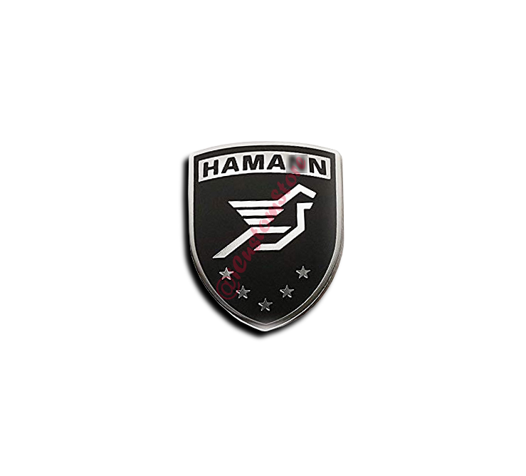 Hamann Logo