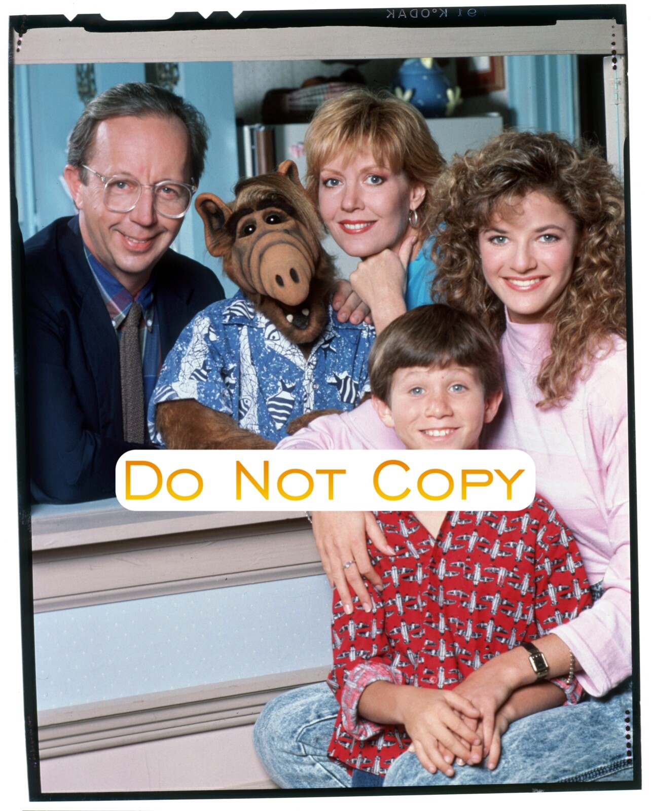 ALF Cast '80s Sitcom - Vintage 4"x5" Transparency C31 LARGE FORMAT | eBay