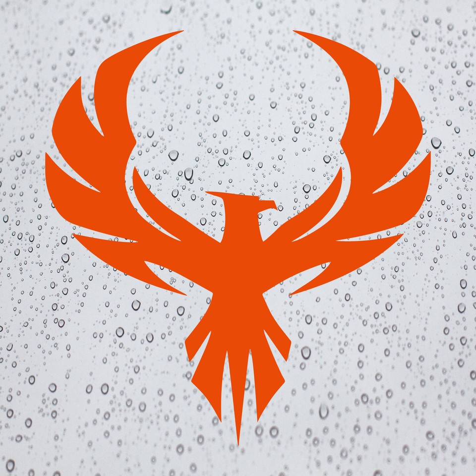PHOENIX BIRD RISING Decal Vinyl Sticker for Car Bumper Window Door ...