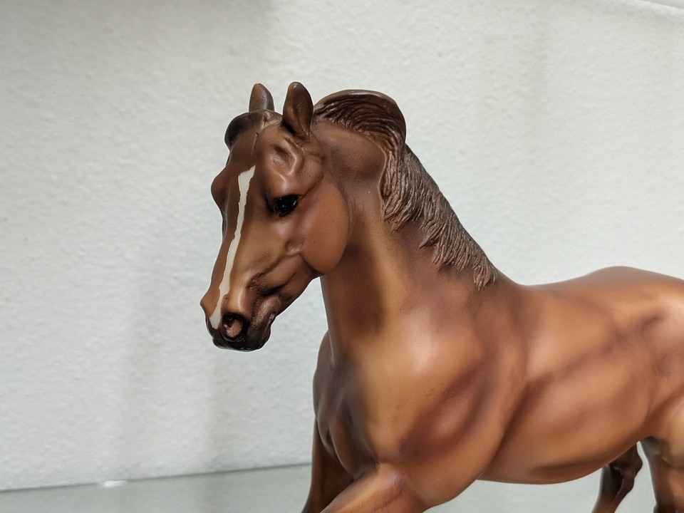 Breyer TSC 2010 Exclusive ** DOCTOR T TORI aka "POPCORN" ** Ranch Horse ...