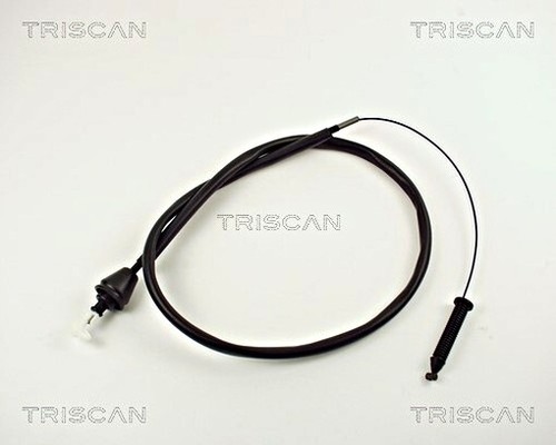 TRISCAN Accelerator Cable For RENAULT Megane I Scenic Classic 7700843189 | eBay