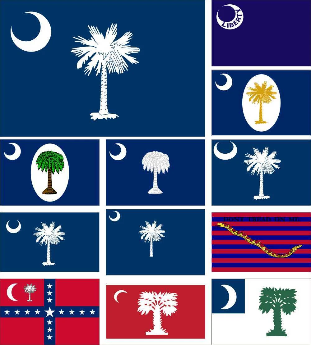 Carolina South Flag