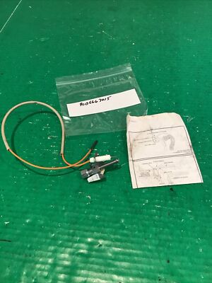A.O. Smith 9006667015 Pilot Assembly LP Gas 701021-001 | eBay