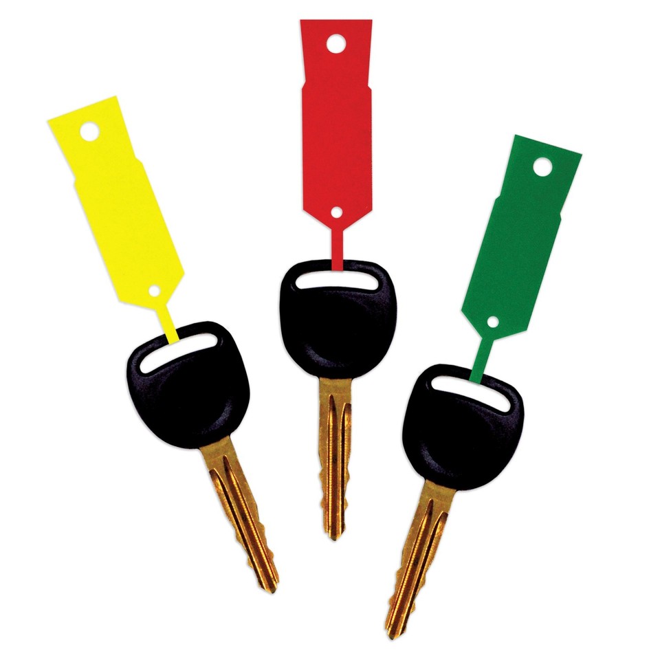 Arrow Key Tags 1000 Pack Self-Locking Vinyl Car Dealer Heavy Duty Auto ...